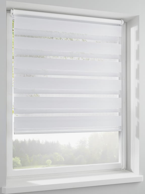 Fensterrollos online kaufen | Stilvoller Sichtschutz | heine